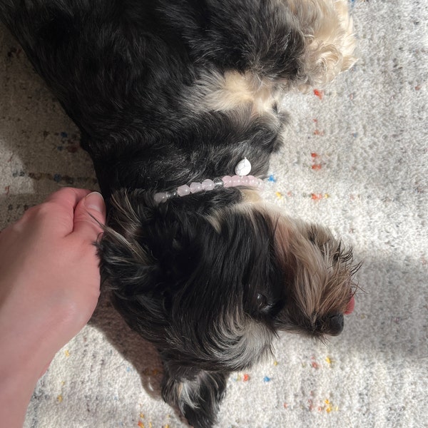 Custom Dog Collar, Crystal Cat Collar, Crescent Moon, Reiki Jewelry ...