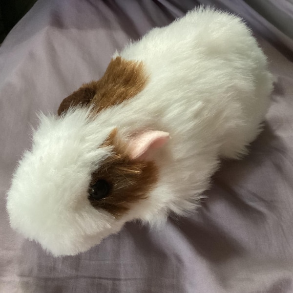 Custom Guinea Pig Stuffed Animal Pet Replica - Etsy