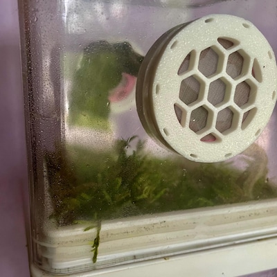 3 Pack Large Cross Ventilation Multi Pack Vents for Reptile ...