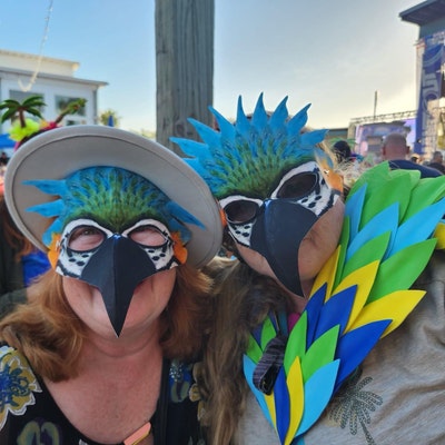 Parrot Mask, Halloween Mask, Animal Mask, Masquerade Mask, Costume Mask ...