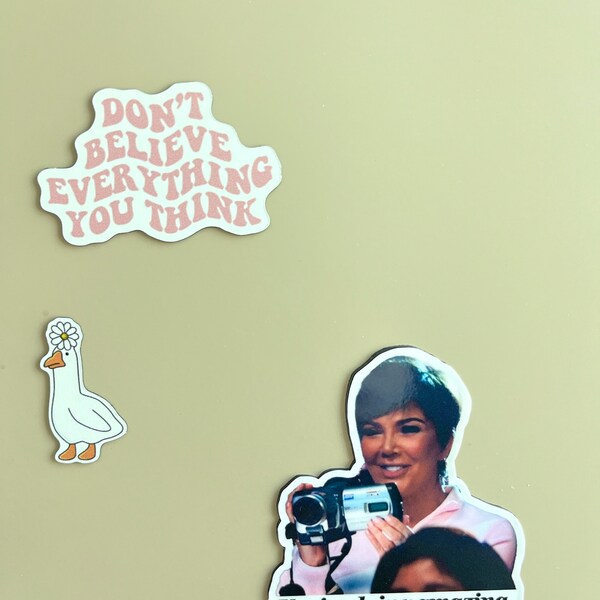 Hot Pink Floral Toile Throw Blanket, Chinoiserie Wildflower Velveteen ...