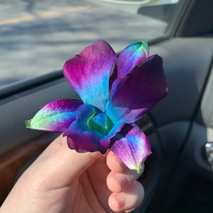 Heart of Jesus Bleeding Heart OR Sacred Heart of Mary | Etsy