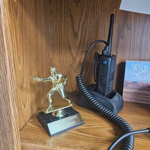 Prom King or Prom Queen Trophy. Beauty Pageant Award. Free Custom ...