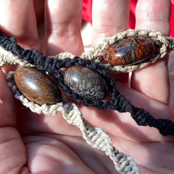 Dinosaur Gembone Sphere Natural Fossil Dinosaur Gem Bone Round Specimen ...