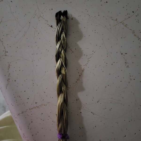 Rat Root Weekas, Sweetflag , Muskrat Root, Acorus Calamus - Etsy