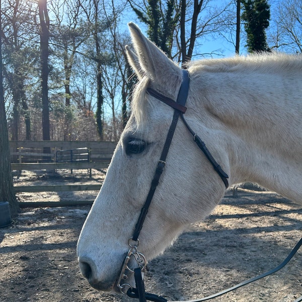 Cavalon Full Cheek Soft Leather Snaffle Bit - Etsy