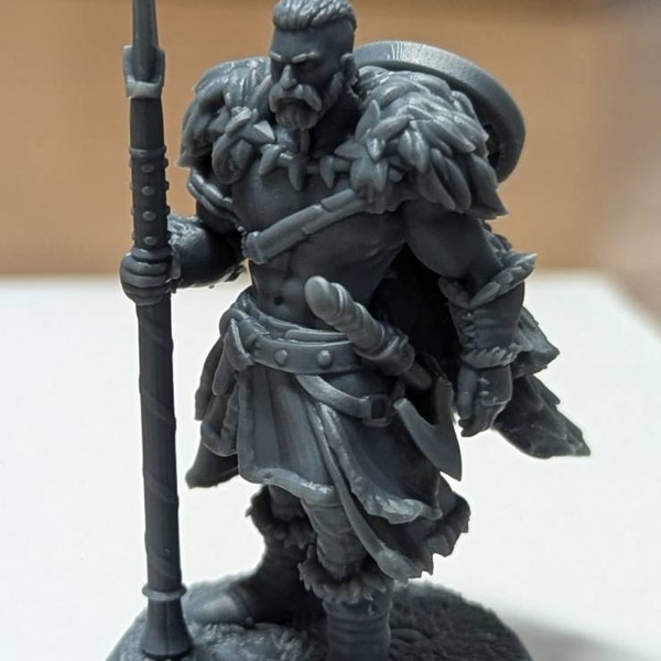 Viking Warriors & Priest, Dark Age, 15mm, 20mm, and 28mm, Historical ...