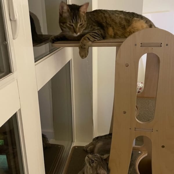Modern Cat Window Perch, Sturdy Perch, Cat Window Shelf, Cat Bed ...