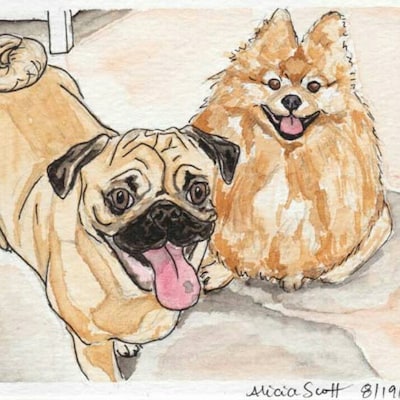 Rococo Era Historical Pet Portrait - Etsy