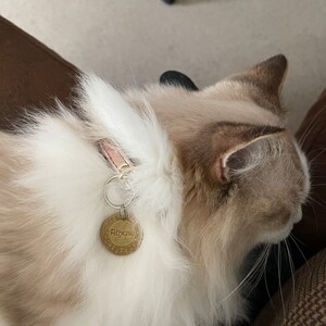 Dog Tag Lifetime Warranty Dog ID Tag Pet Tag Dog Tags Custom stainless ...