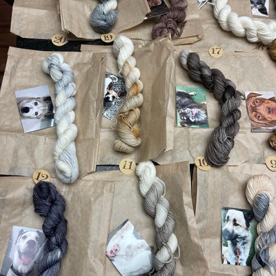 Toe Beans Sock Club 85/15 Superwash Merino/nylon Blend 480 - Etsy