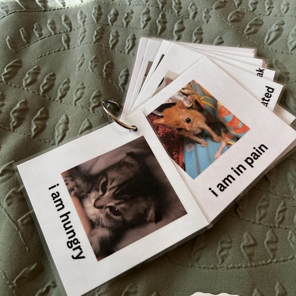 Silly Cat Themed Communication Cards (AAC, Nonverbal Aid, Autism ...