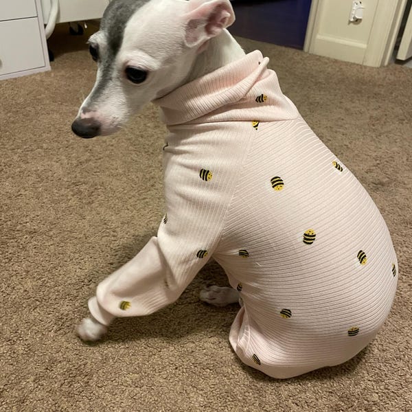 Italian Greyhound Rib Knit Pjs - Etsy