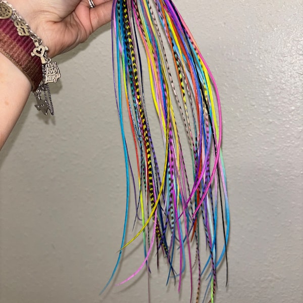 12 Long Rooster Feathers Cree Natural Craft and Earring Feathers 8 to ...