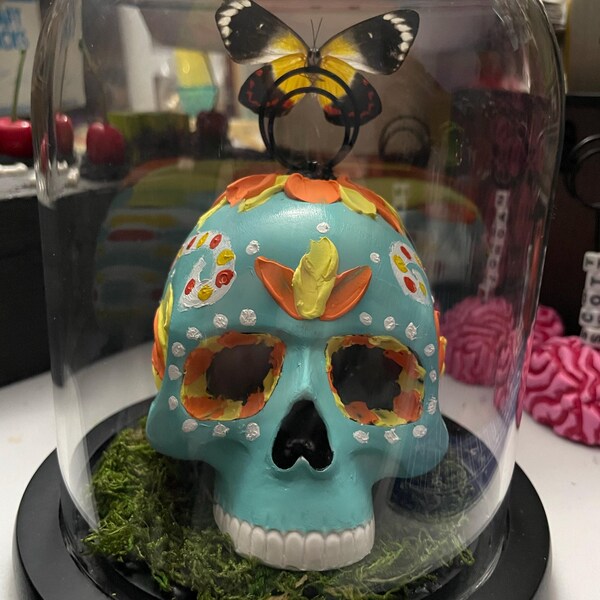 Giant Roly Poly Pill Bug, Sphaeropoeus Lugubris, Mounted in a Bell Jar ...