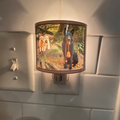 Canvas Owl Night Light, Owl Gift, Plug in Night Light, Barred Owl ...