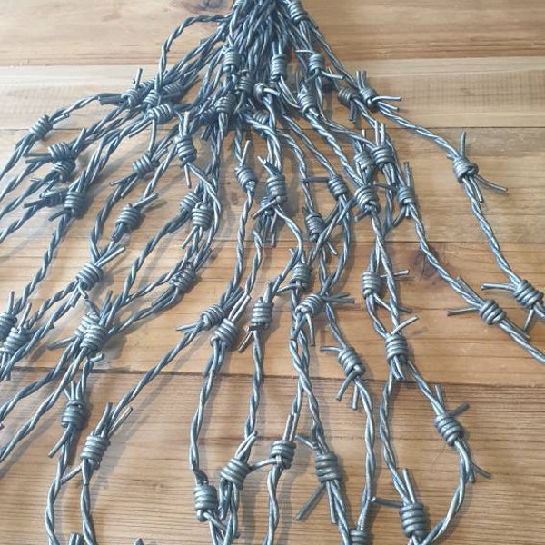 Wünsdorf. 61 Cm/24 Flogger Made of Leather Barbed Wire - Etsy