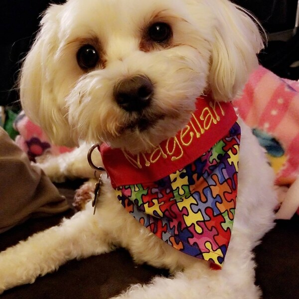 Personalized Autism Awareness Bandana, Puzzle Dog Collar Scarf, Pet ...