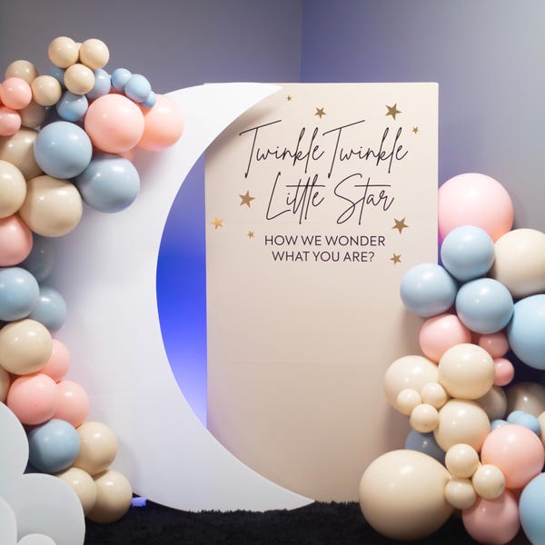 Blank Panel RECTANGLE Backdrop Pastel Backdrops With Stands, NOT Fabric ...