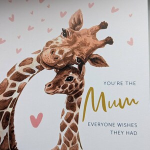 Funny Nanalan Birthday Card for Boyfriend, It's Okay Birdie I'm Gonna ...
