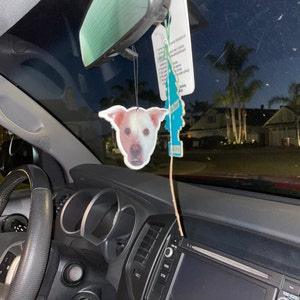 Funny Air Freshener Flaming Eye Freshener Cute Air - Etsy