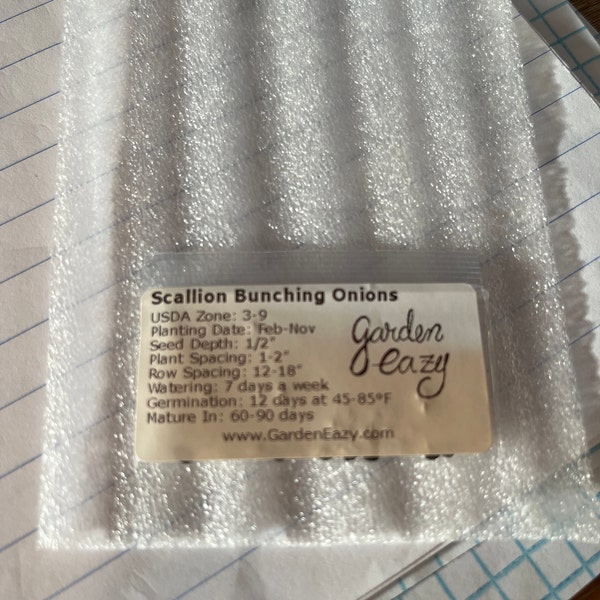 Scallion Seeds - Organic, Heirloom, Open Pollinated, Non GMO - Grow ...