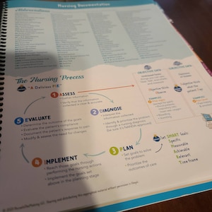 The Complete Nursing School Bundle® 2024 Edition PRINTED & - Etsy