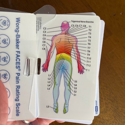 Dermatome Badge Pocket Card Horizontal for Nurse Paramedic EMT for ID ...