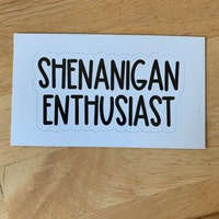 Shenanigan Enthusiast Laptop Stickers, Funny Stickers, Sarcasm Laptop ...