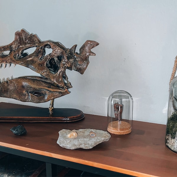 Spinosaurus Dinosaur Skull Replica Made From 3D Scans of Real Fossils ...