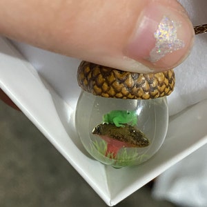 Acorn Necklace With Mushroom Frog Resin Jewelry Acorn - Etsy Australia