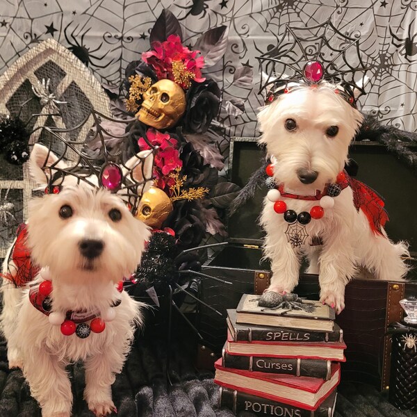 The Harlow // Halloween Dog Harness Dress, Dog Harness Dress, Dog Dress ...