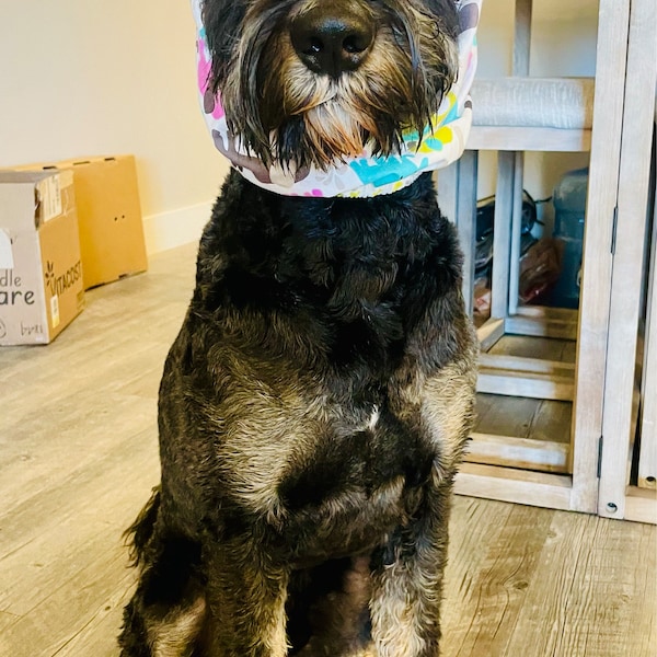 Rainbow Splotched Dog Bow Tie Summer Dog Bow Tie Colorful Dog Bow Tie ...