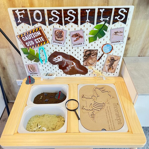 Fossils Peg Board, Fossils Posters, Fossils Preschool, Fossils Flisat ...