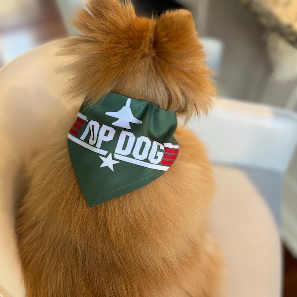 Top Dog Scarf, Personalized Dog Scarf, Custom Dog Scarf With Collar ...