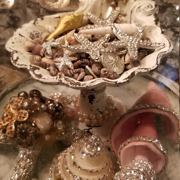 Embellished Spiral Cut Polished Trochus Shell With Swarovski Crystals ...