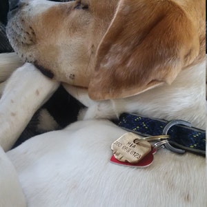 Recycled Key Dog Tag Personalized Pet ID Tag for Your Dog or Cat ...