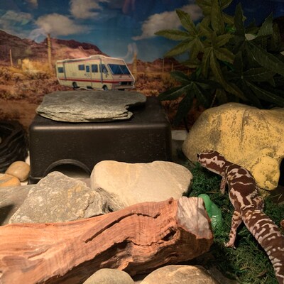 Pink Flamingos Divine Filthiest Person Alive Sticker Water - Etsy