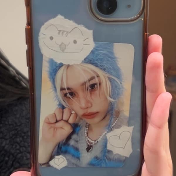 Kpop Demon Hunters Inspired Stickers – Derpy Tiger, 3-eyed Magpie ...