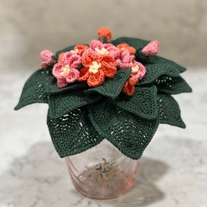 Crochet Polka Dot Begonia Plant Pattern Photo Tutorial - Etsy