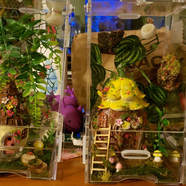 Custom Jumping Spider Enclosure- Read Description - Etsy