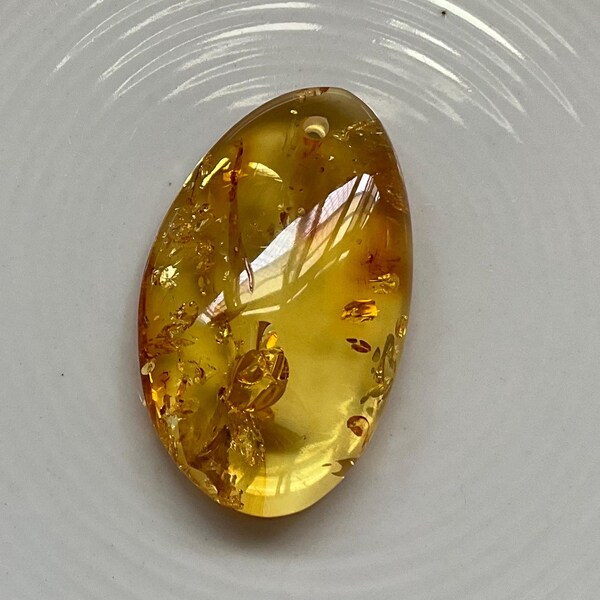 Large Amber Stone Collectors Specimen, Amber for Display, Large Palm ...