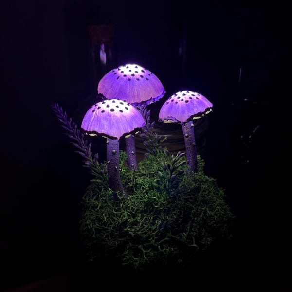 Pink Mushroom Lamp USB Trippy Lights Psychedelic Lamp Table Bedside Living Room - Etsy
