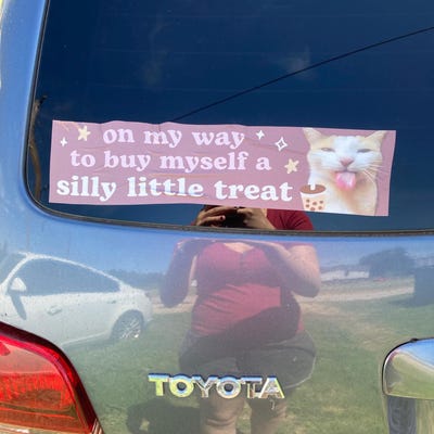This is Who You're Honking at Cat Meme Car Bumper Sticker Funny Cute ...
