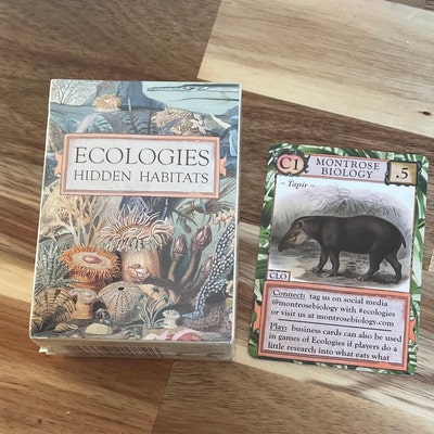 Ecologies: Hidden Habitats Gameplay Inspired by Nature Sequel and ...