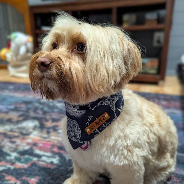 Ruff Hippie Dog Bandana Tie and Snap, Green Mushrooms - Etsy