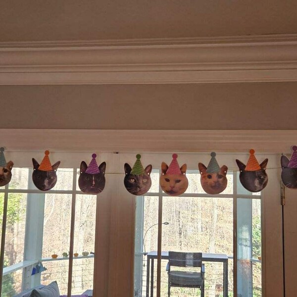 Custom Face Party Hat, Birthday Party Hat, 30th, 40th, 50th, 60th, 70th ...