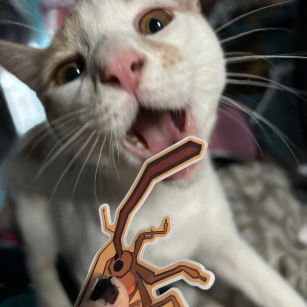 3D Moth Vtuber, Premade Luna Moth Vtuber, Atlas Moth Vtuber, Mothman ...