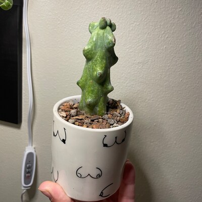 Body Positivity Modern Planter Pot/women or Girl Body Planter ...