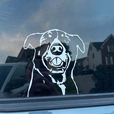 Pet Welcome Sign/ Pet Door Sign/ Dog Door Sign/pet Portrait Wreath/ Dog ...